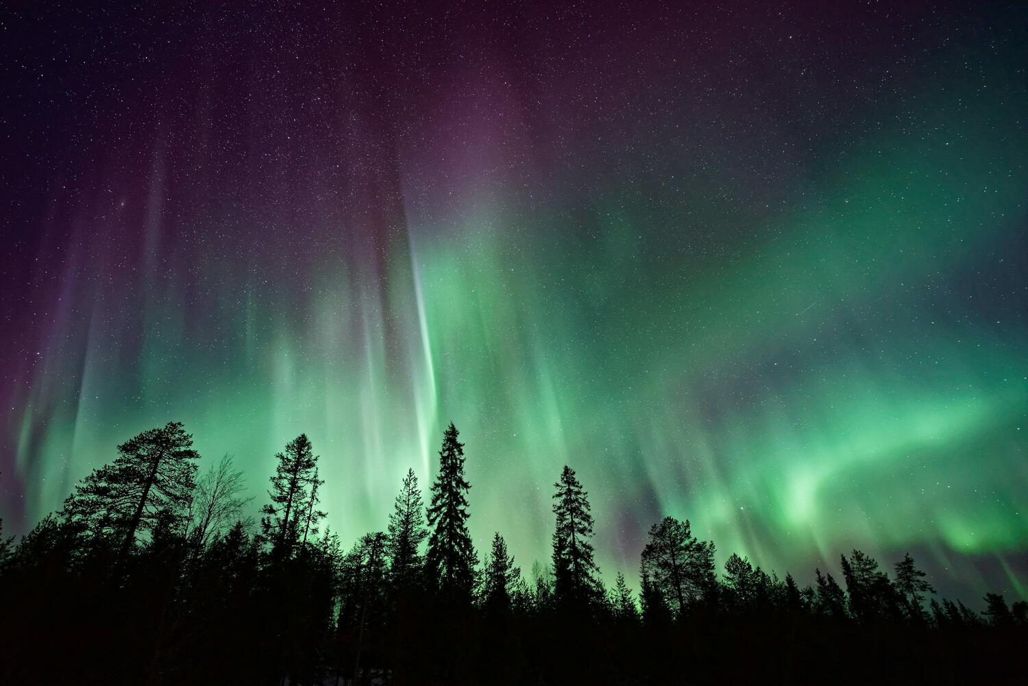 Northern Lights Forecast - Aurora Visibility Map
